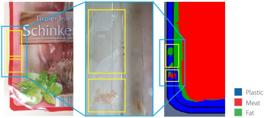 This is an example where fat and meat are present in the seal. Due to ...